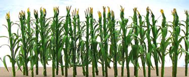 Image result for HO Scale Corn Stalks