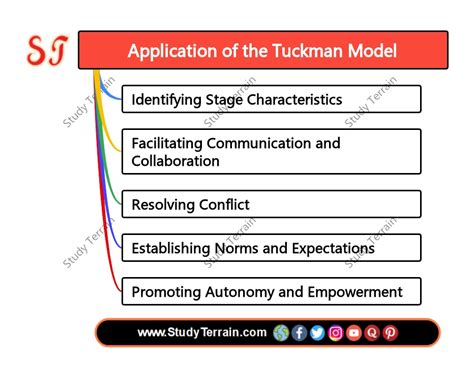 Image result for Tuckman Model Square