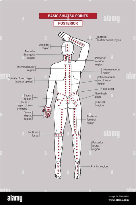 Image result for Basic Shiatsu