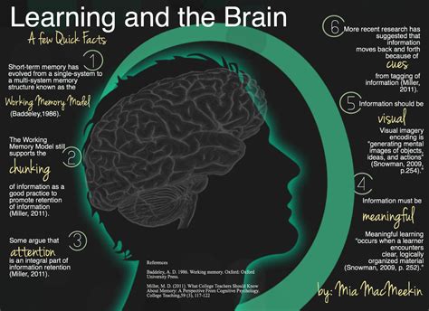 Image result for Learning Brain Picture