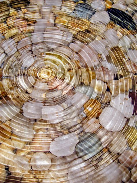 Image result for Michael Vortex