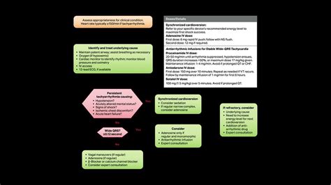 Image result for Tachycardia Algorithm