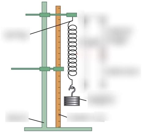 Image result for Work Spring Force