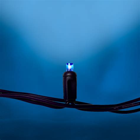 Image result for Light Blue String Lights Amazon