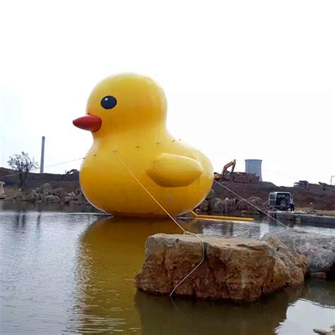 Image result for Inflatable Snow Goose Pool