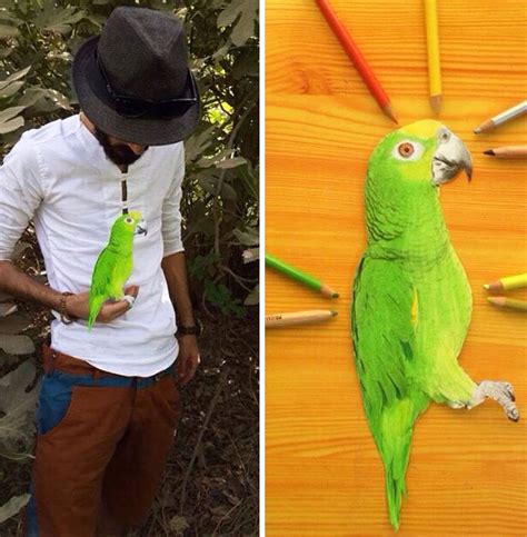 Image result for Creative Object Drawing