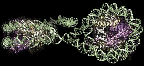 Molecular Machines on Behance