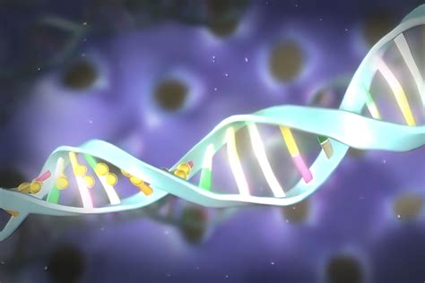 Image result for Evolution Epigenetics