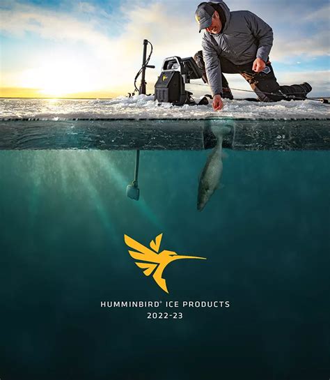 Image result for Humminbird Semi Colon