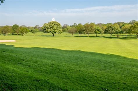 Image result for Scenic View Golf Course