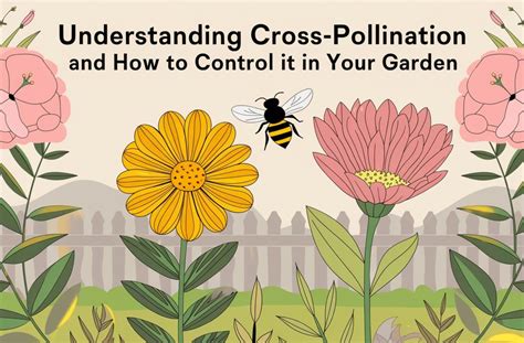 Image result for Types of Cross Pollination