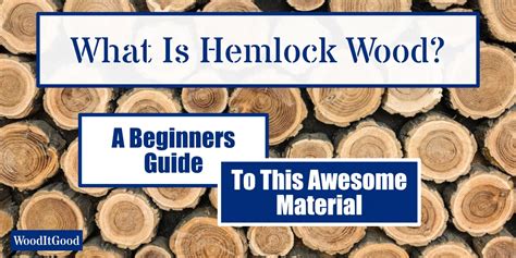 Image result for Hemlock Rustage