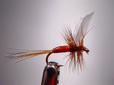 Image result for Red Quill Fly Pattern