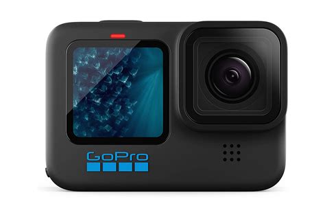 Image result for GoPro 11