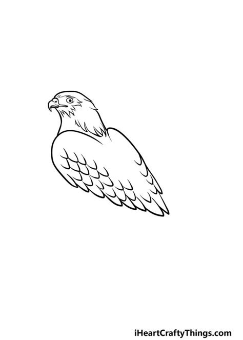 Image result for Hawk Beak Drawing