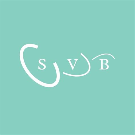 Image result for SVB Inloggen