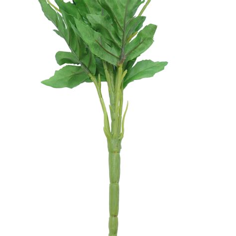 Image result for Spring Flower 330