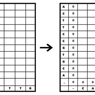 Image result for Global Sequence Alignment Examples