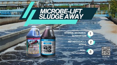 Image result for Humic Compounds