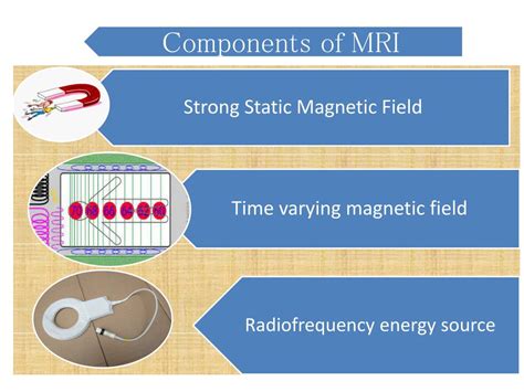 Image result for Components of MRI