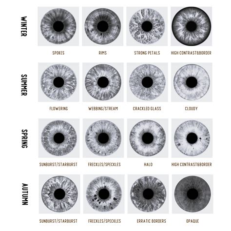 Image result for Eye Pattern Types