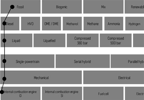 Image result for Morphological System Examples