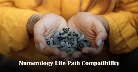 Image result for Life Path Compatibility