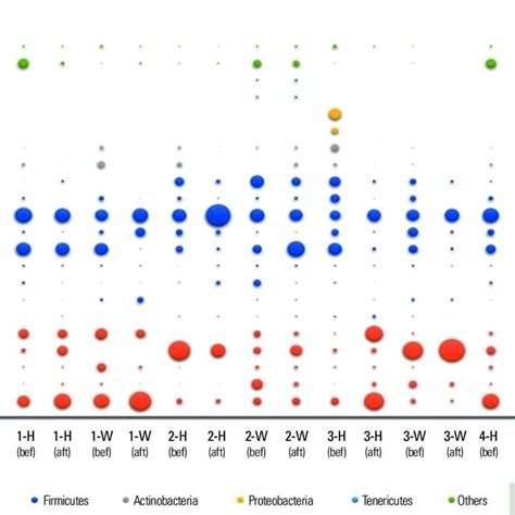 Image result for Microbial Profiling of the Samples
