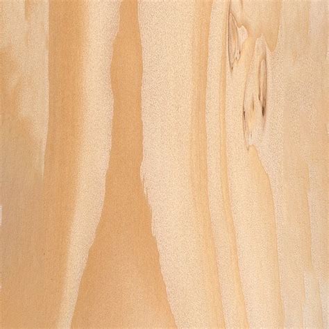 Image result for Hemlock Rustage