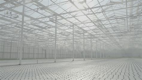 Image result for 7% H2O2 Fogging