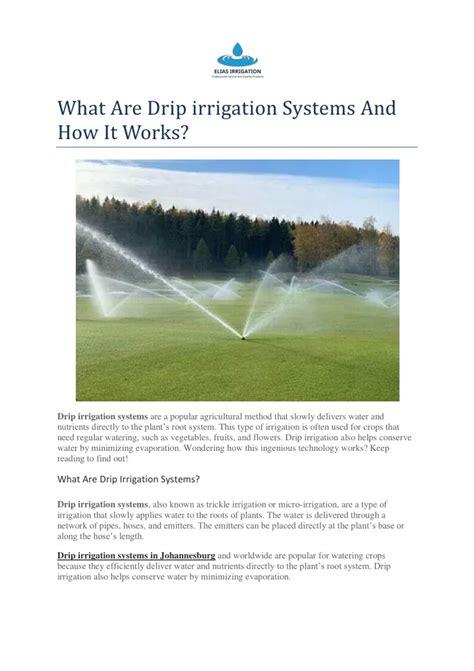 Image result for Example of Drip Irrigation System