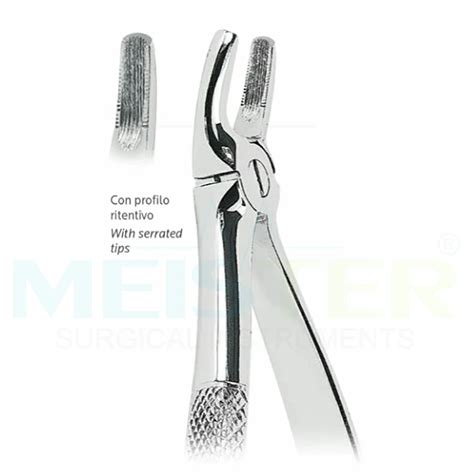 Image result for Extracting Forceps