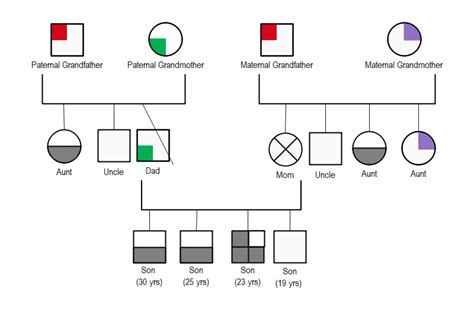 Image result for Genogram Template PowerPoint