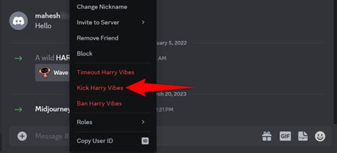 Image result for Discord Kick Command