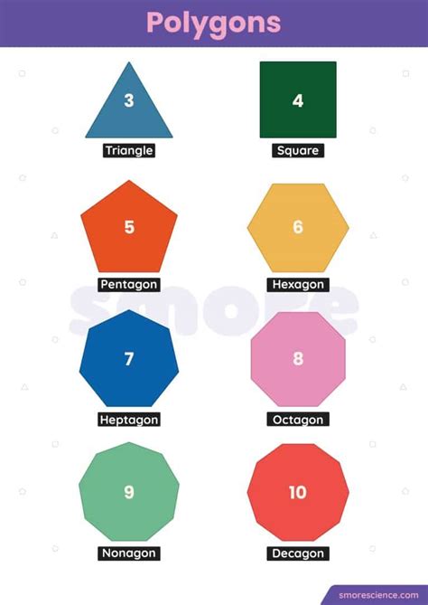 Image result for Examples of Polygons