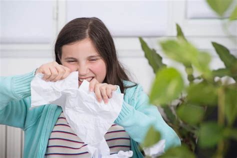 Image result for Making Paper From Shredded Paper