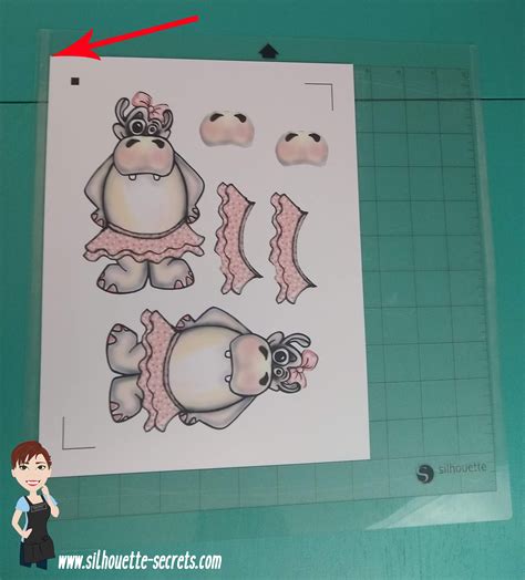 Image result for Cameo Pro Problems