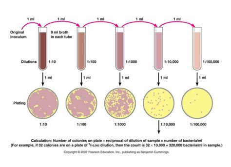 Image result for Total Plate Count Formula