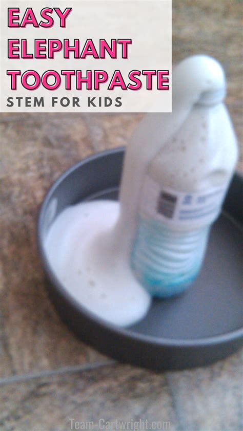 Image result for Elephant Toothpaste Explosion