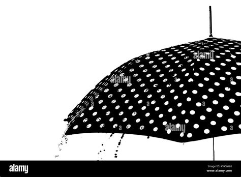 Image result for How to Use Umbrella Drop Net