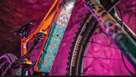 Image result for Mountain Bike Frame Protection Color Design