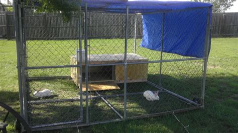 Image result for Rabbit Tractor Design