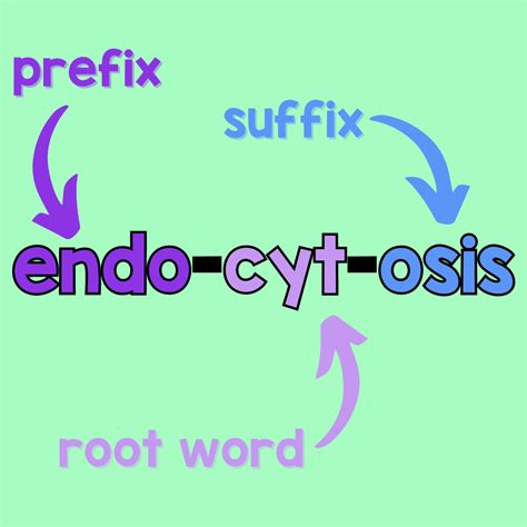 Image result for Science Words