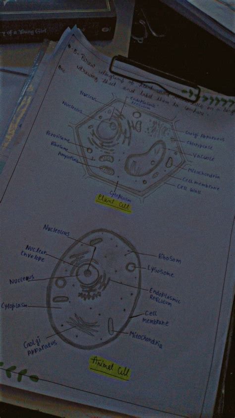 Image result for Cell Structure Revision Notes