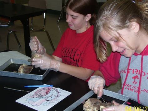 Image result for Human Heart Dissection
