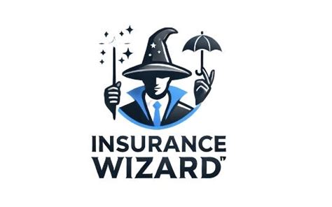 Image result for Epic Insurance Wizard Screenshots