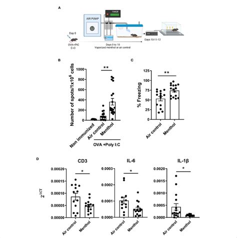 Image result for Menthol Inhalation
