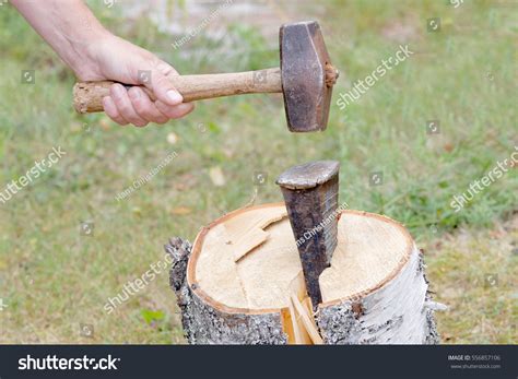 Image result for Split Log Bench