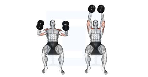 Dumbbell Fly - Guide, Benefits, and Form