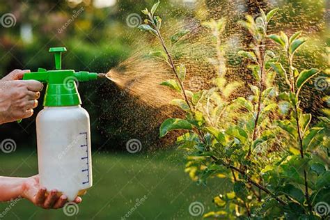Image result for Injecting Trees with Insecticide